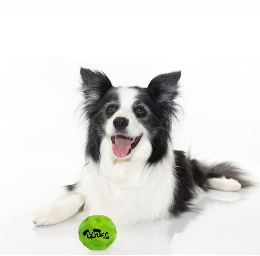 Wuff Ball (Green) | Dogs Go Wuff | Official Website
