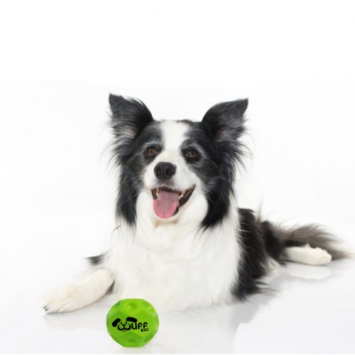 WUFF BALL Bouncy Green Dog Ball – Dogs Go Wuff | Official Website