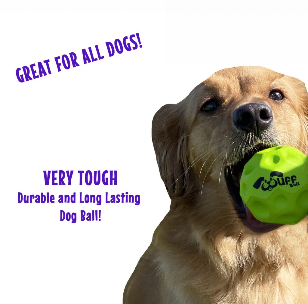 Wuff Ball (Green) | Dogs Go Wuff | Official Website