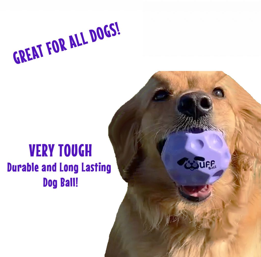 WUFF BALL Bouncy Purple Dog Ball – Dogs Go Wuff | Official Website